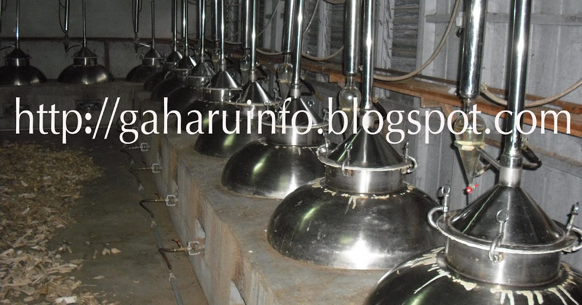 Budidaya gaharu di Bogor: Proses Penyulingan Minyak Gaharu Langkah Demi ...