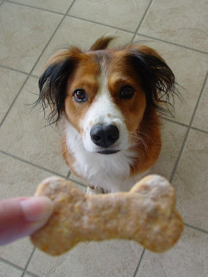 Lick The Bowl Good: Stinky Girl - Stinky Cookies