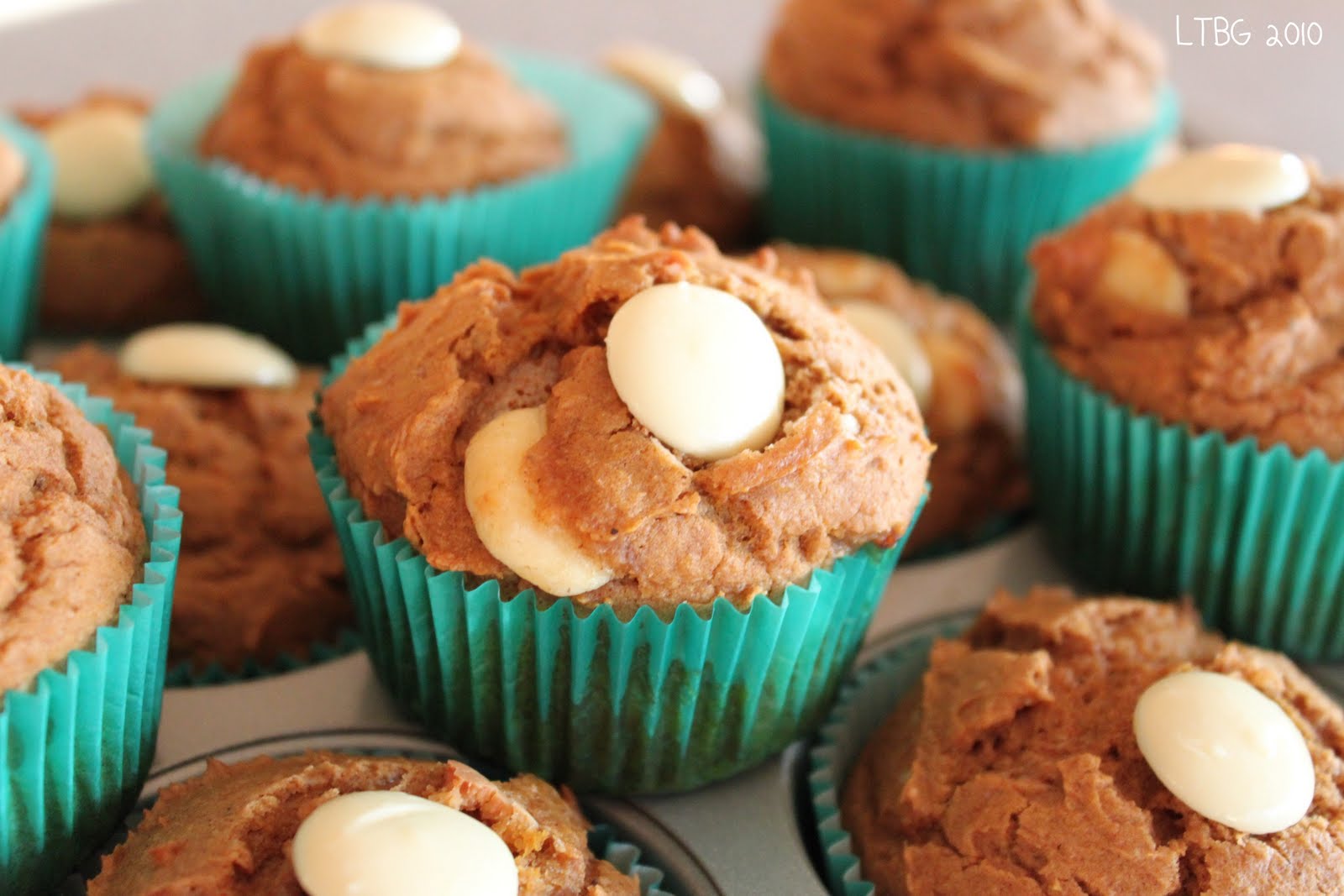 Lick The Bowl Good: Exciting News and Delicious Muffins