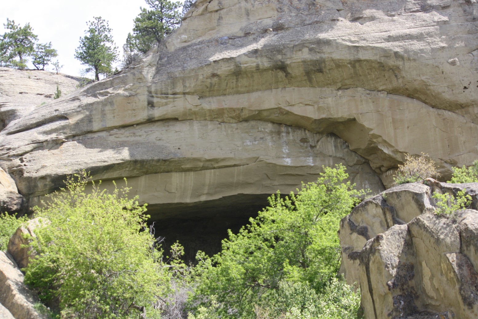Julie's State Parks: Pictograph Cave State Park (Billings MT)