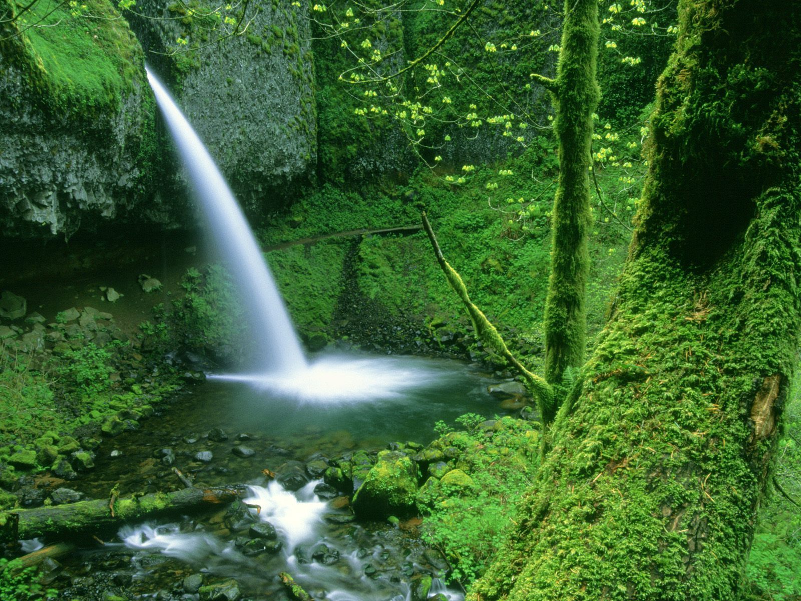Natural Seasons | Natural Feelings | Natural Effects | Natural Lives Natural Seasons | Natural Feelings | Natural Effects | Natural Lives