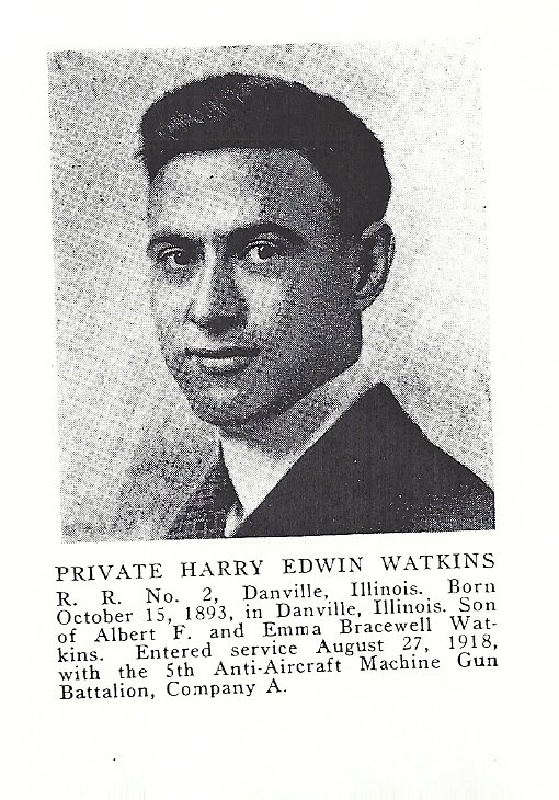 Our Forever Growing and Blooming Tree: August 2010