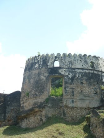 Scatterlings of Africa: February 2011