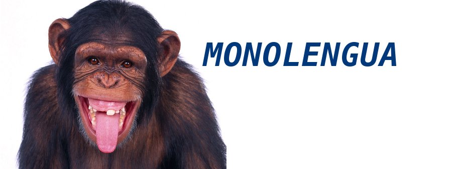 Monolengua: El diccionario monolingüe: ¿Cómo? ¿Quién? ¿Por qué?