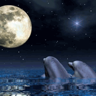Despierta, Vuela: Totem Delfin