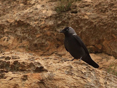 Archeology - Pouya Monsefi Tehrani - باستان شناسی با پویا منصفی ...