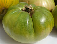 Tomato Addict: 2009 Review: Winners and Losers