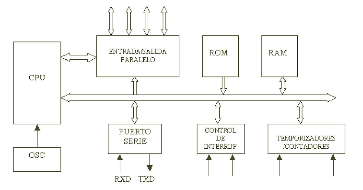 Switch OM: ¿Que es un microcontrolador?