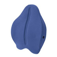 AgeComfort.com Canada's Online Health Care Store: How to Prevent Back Pain?