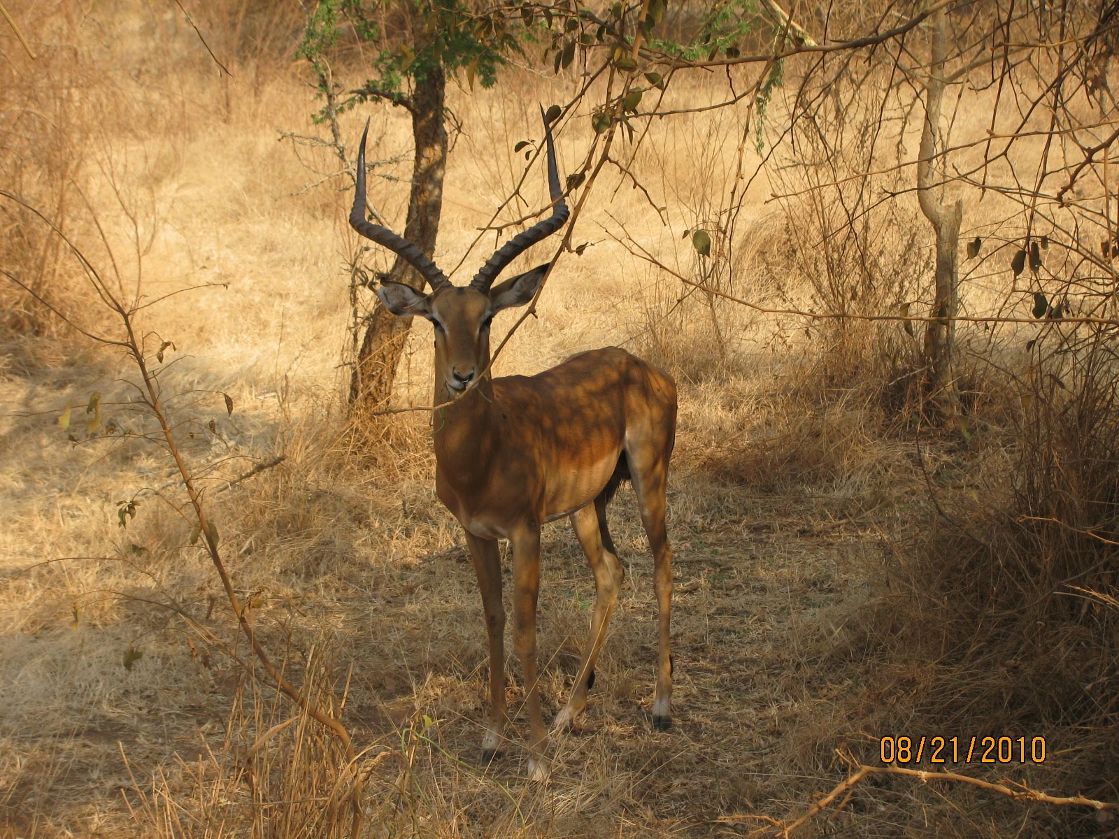 Rwanda-Gashora Girls Academy: Akagera National Park