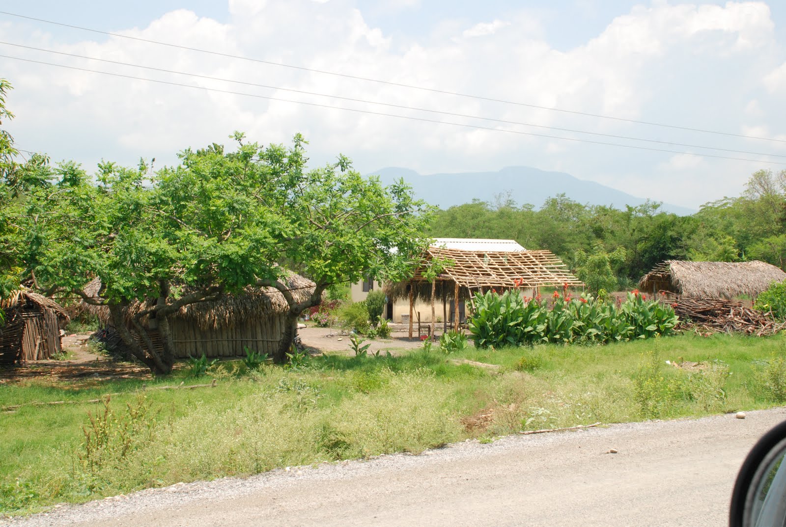 Antiguo Morelos, Tam.: IMAGENES DEL EJIDO PLAN DE SAN LUIS