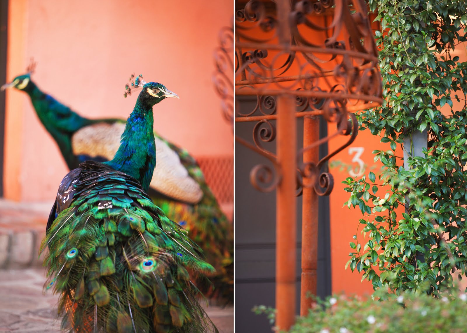 Gabriel and Carin Photography: [Simondium Country Lodge] Paarl Valley