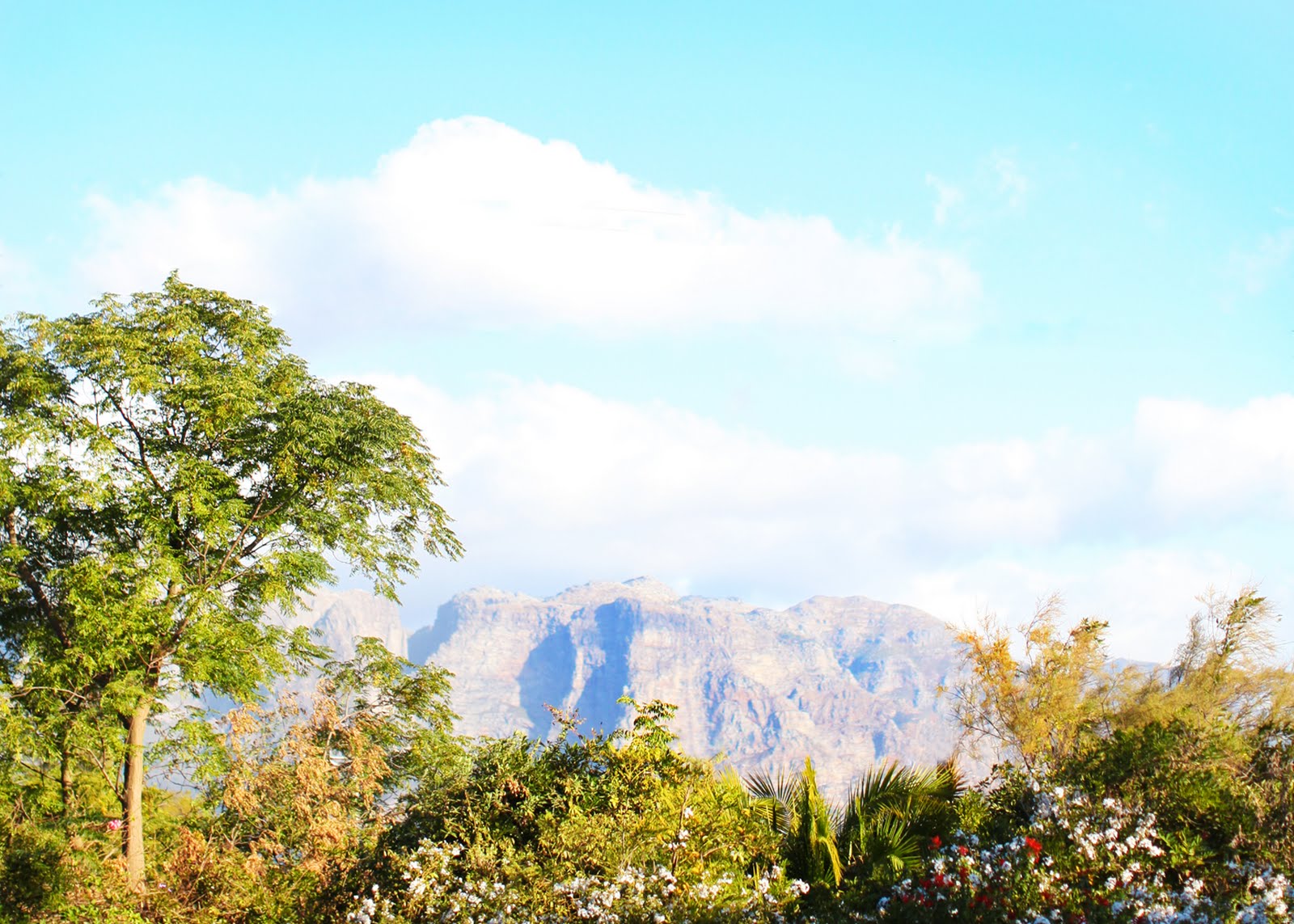 Gabriel and Carin Photography: [Simondium Country Lodge] Paarl Valley