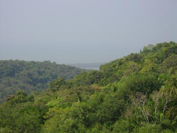 RAMANTHALI VADAKKUMBAD: HISTORY OF EZHIMALA