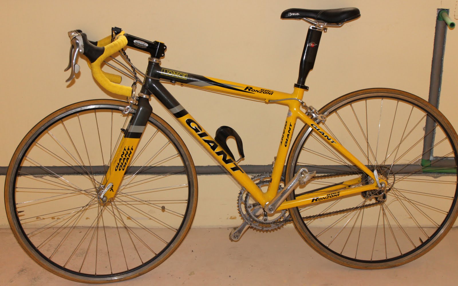 maxidan: Cursiera Giant