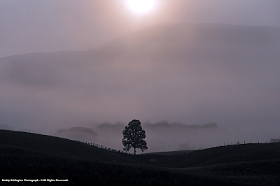 The High Knob Landform: HKL Spring Differences: Elevation + Latitude