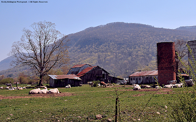 The High Knob Landform: HKL Spring Differences: Elevation + Latitude