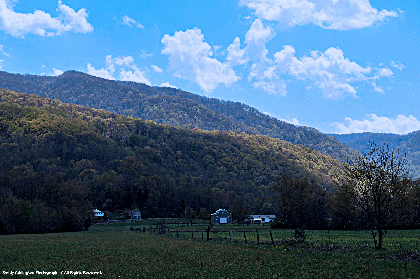 The High Knob Landform: HKL Spring Differences: Elevation + Latitude