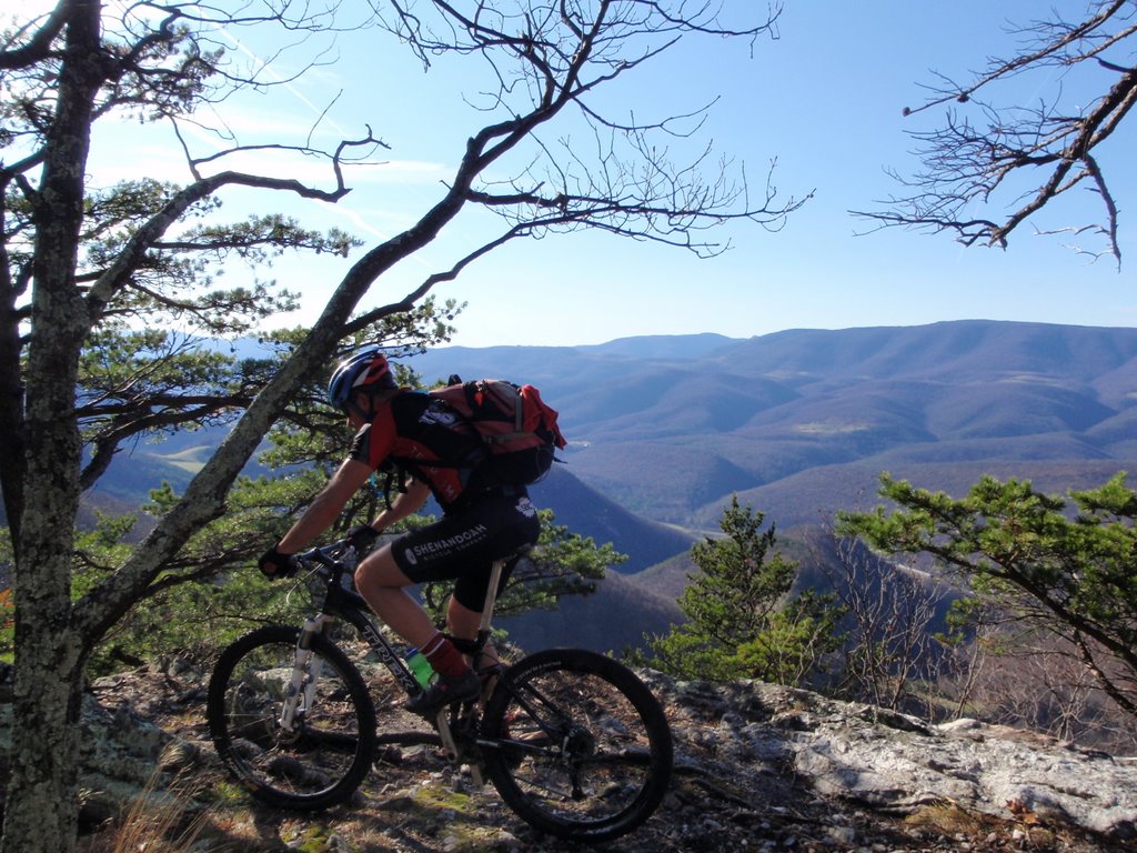 Some mountain bike trails just can't be beat! This one is located in ...