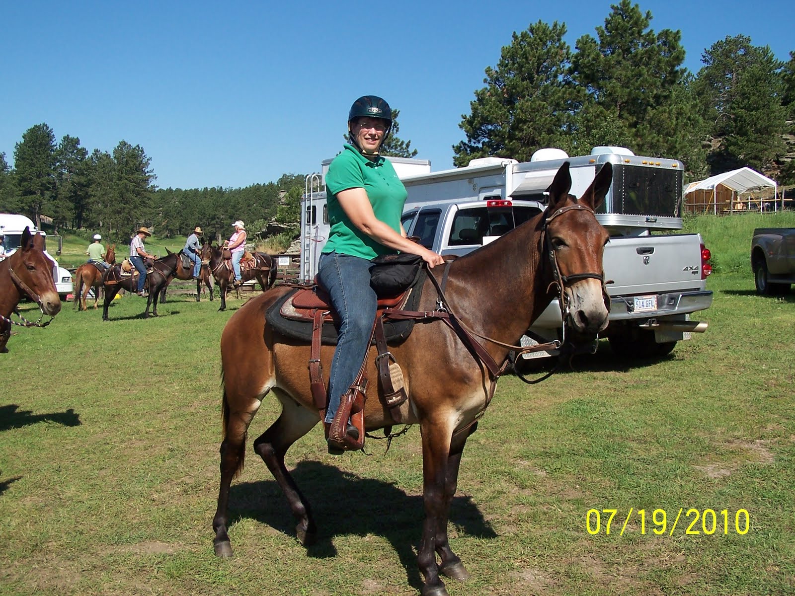 Tales of a Competitive Trail, Endruance and Pleasure Rider: SD ...