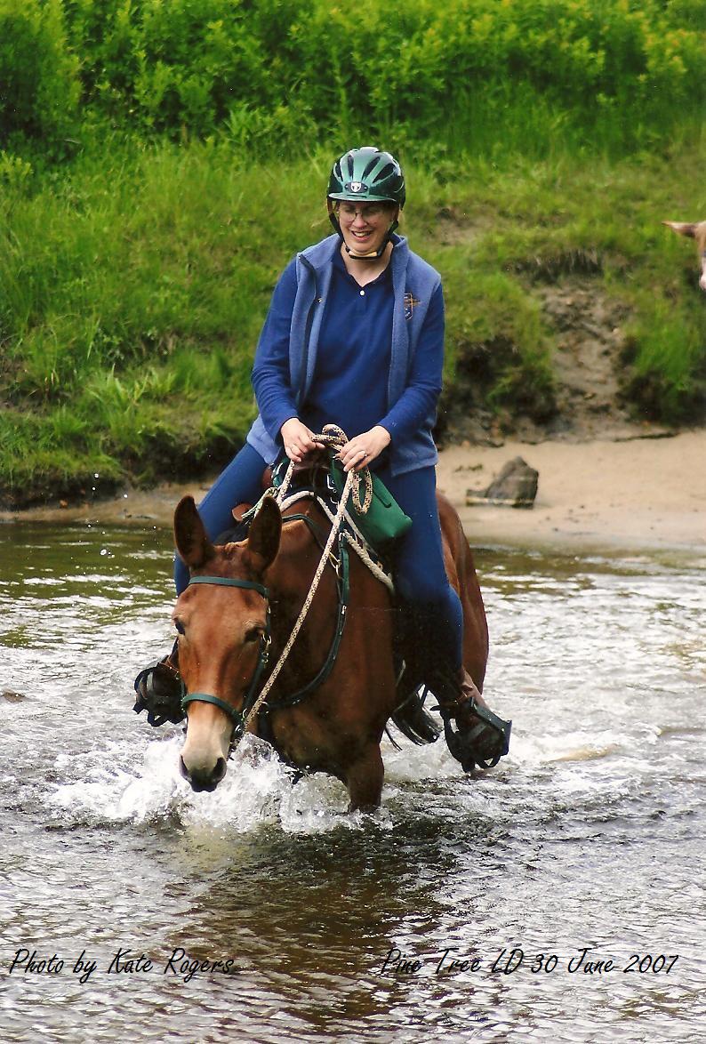 Tales of a Competitive Trail, Endruance and Pleasure Rider: Pine Tree ...