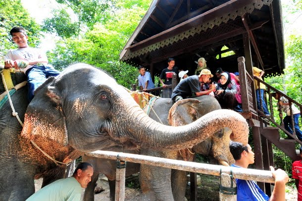 Terengganu nan Indah: Mini Zoo di Kemaman