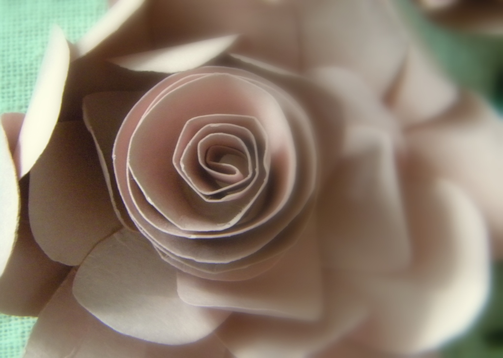 homework: The Inspiration Board: bright pink flowers