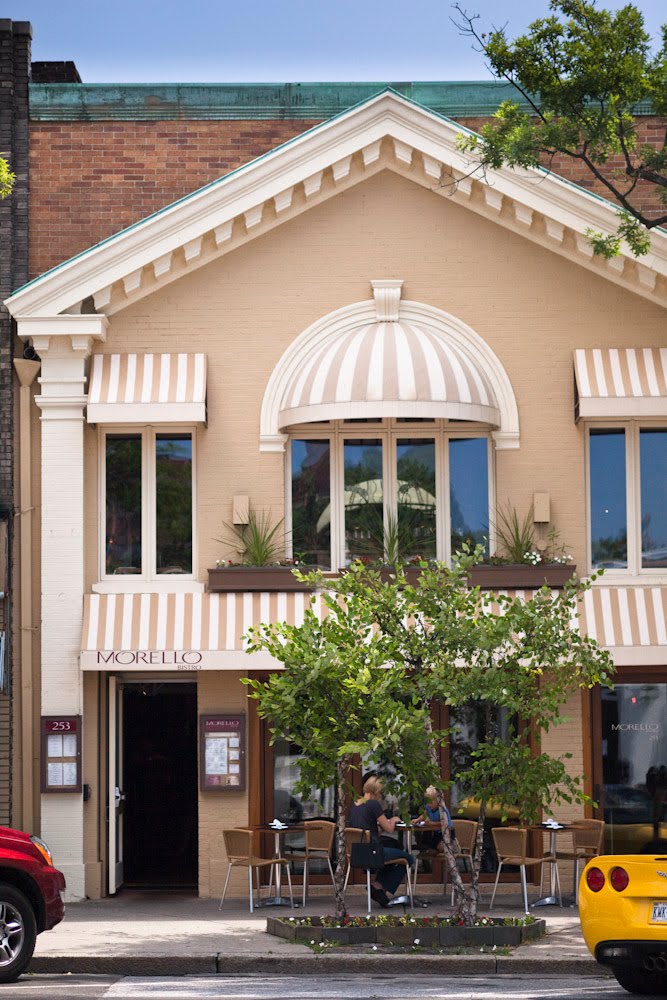 Stamford Notes: Life is Just a Bowl of Morellos