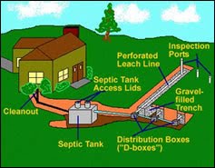 Septic Solution or how to save septic tank system: How a Septic System ...