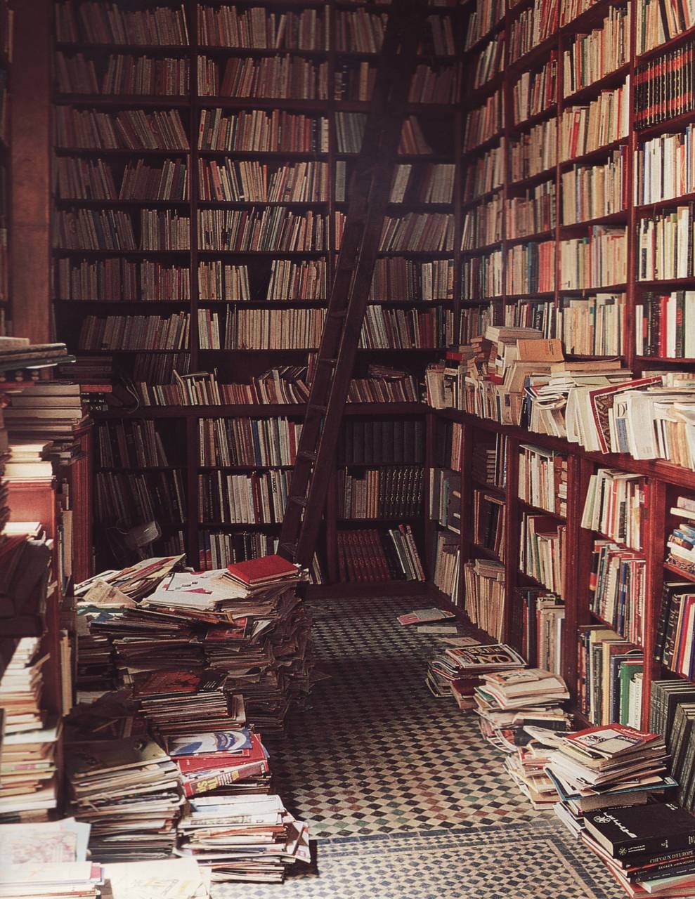 Moon to Moon: Bohemian Books