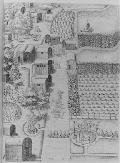 Searching for the Lost Colony : Secotan Village as Recorded by John White