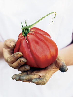 Soby's: Goldman's Italian American Heirloom Tomato