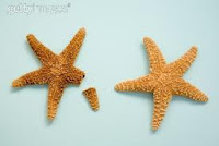 REPRODUCTION vs EXTINCTION