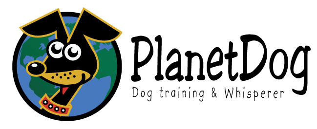 Adiestramiento Canino en Costa Rica y muchas cosas más