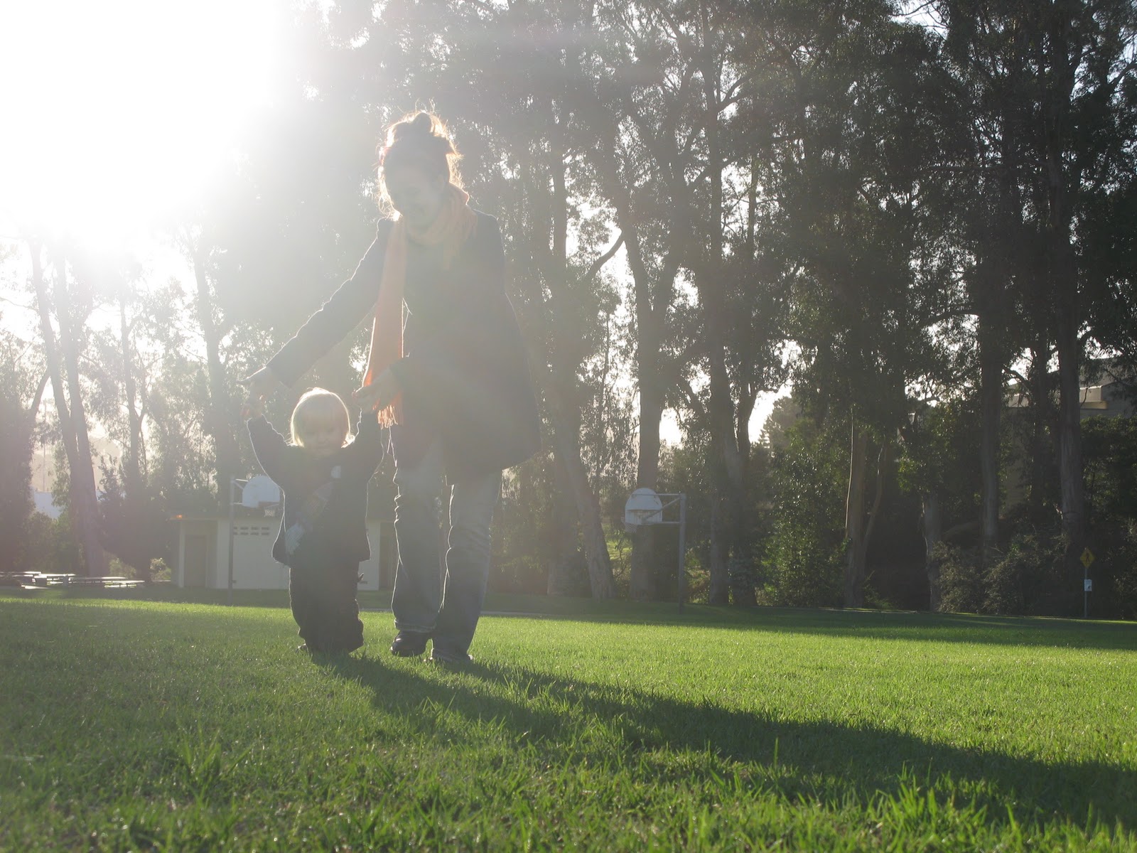 Lights! Camera! Diapers!