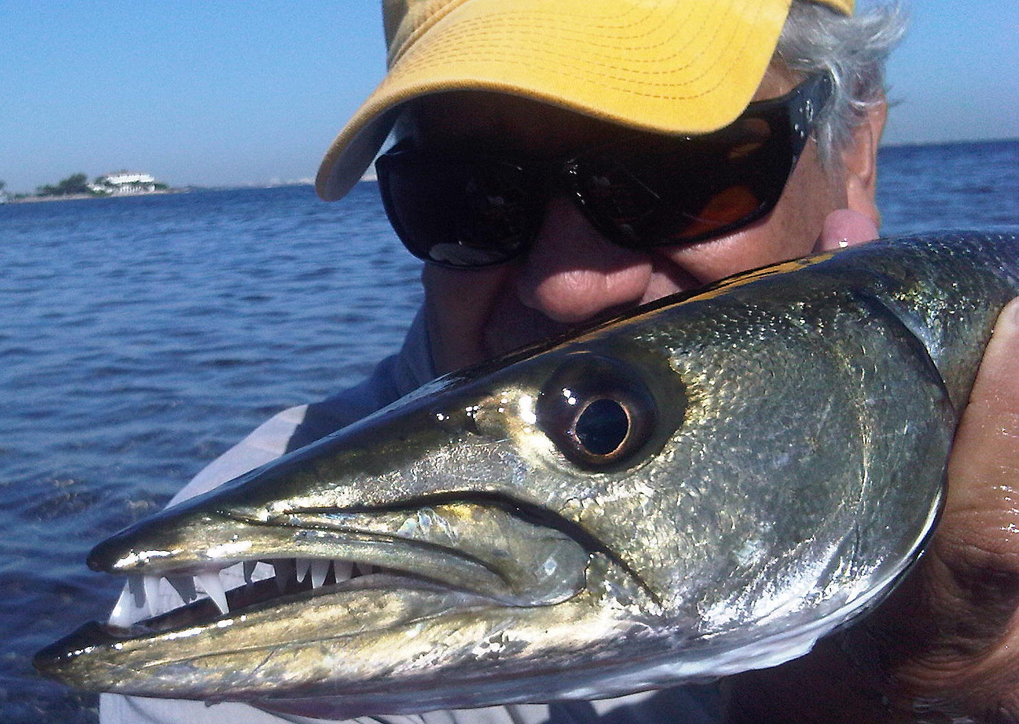 PezRaton: December 2010