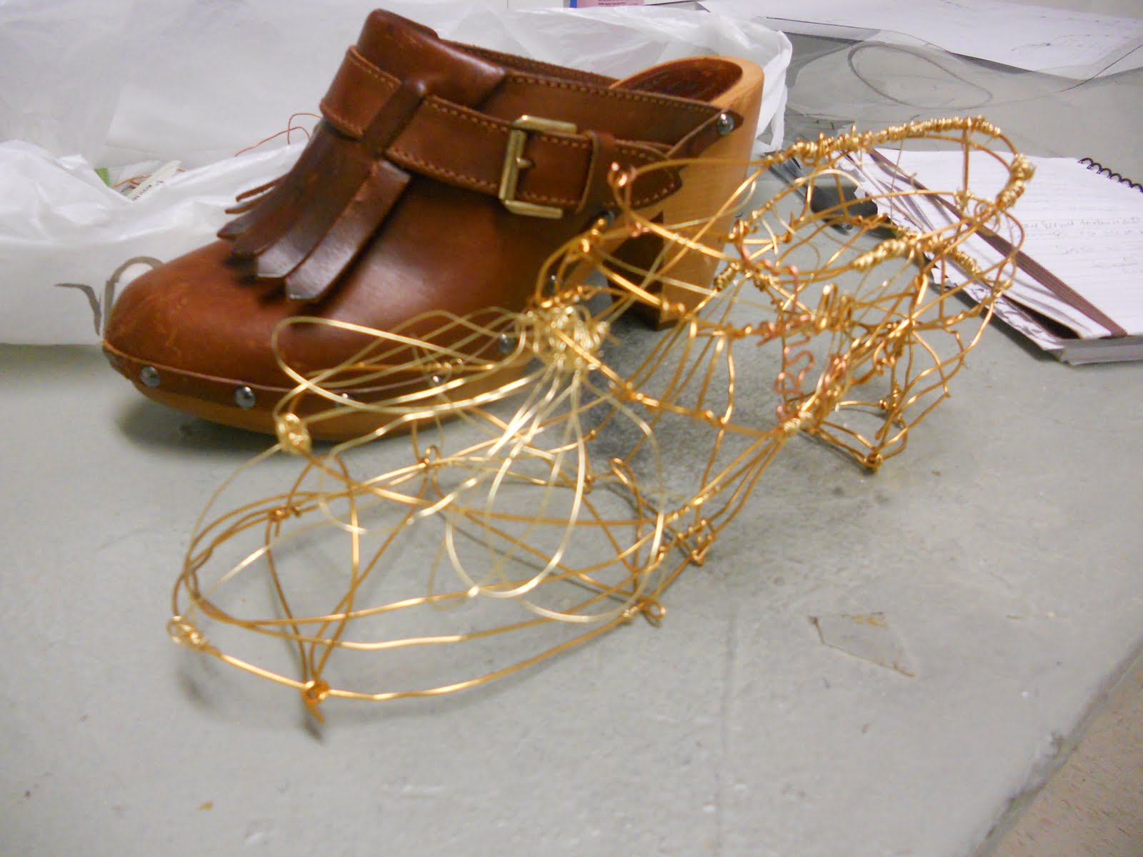 The Fashionista Diaries: The Wire Shoe