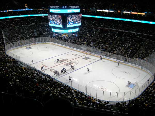 Orca Watcher: Starting Off the Year List in the East