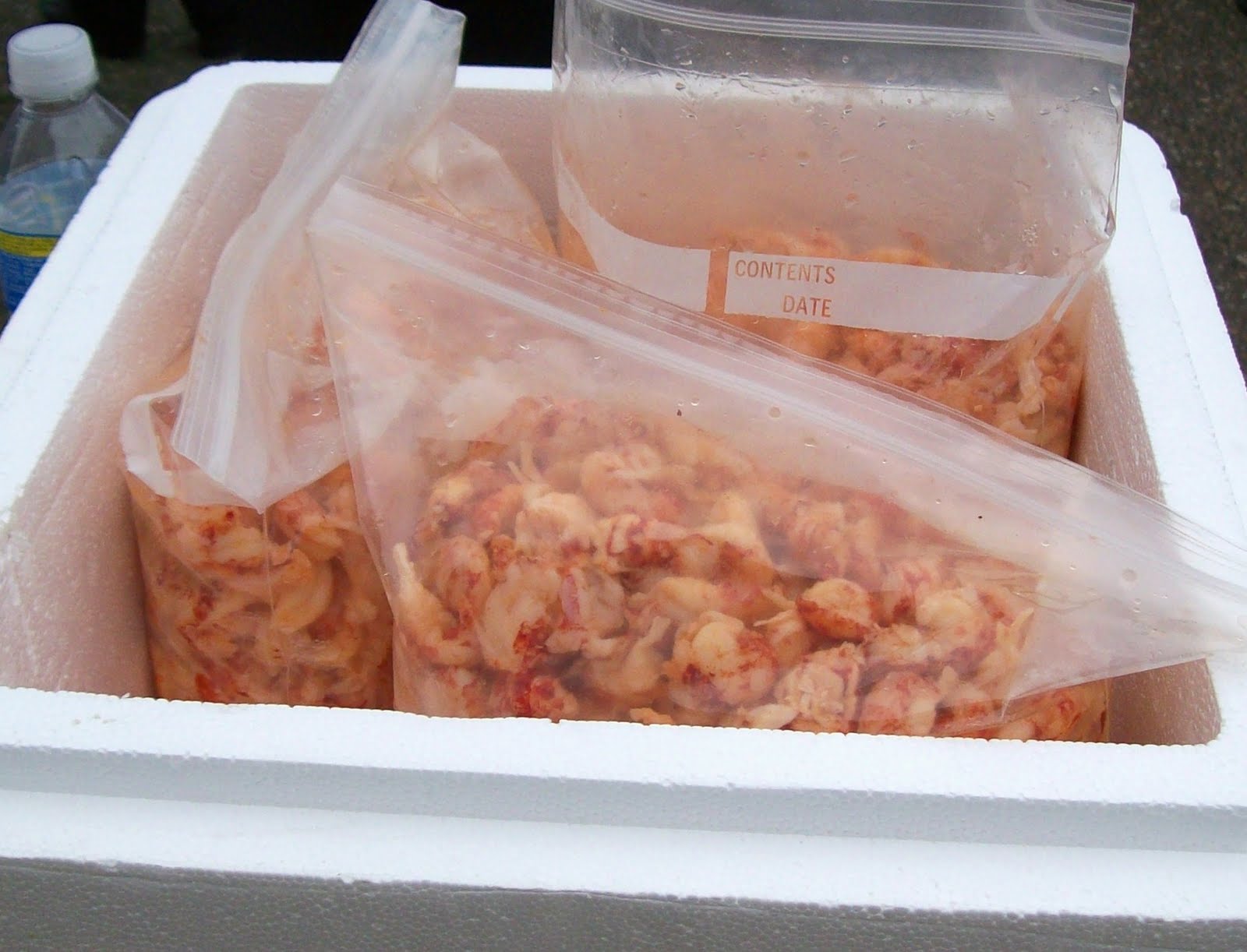 Cajun Delights: Cajun Crawfish Delights + Crawfish Festival Preview