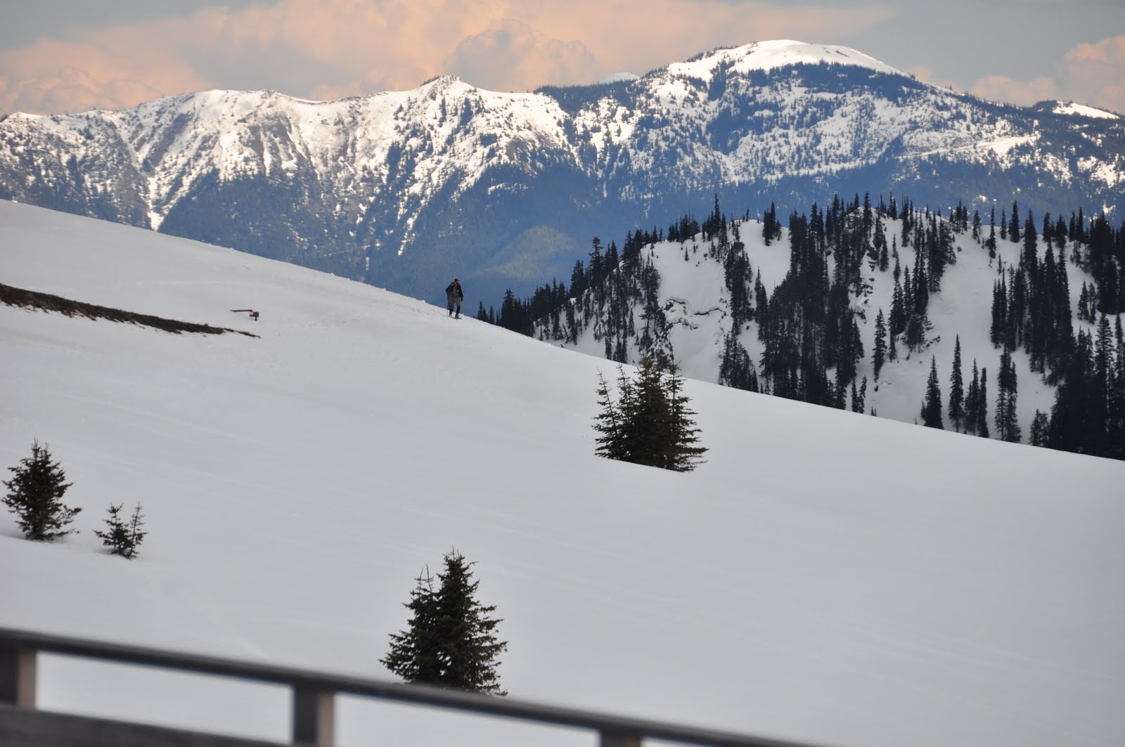 To Pacific Shores & Back: Crossing by ferry to Port Angeles, Olympic ...