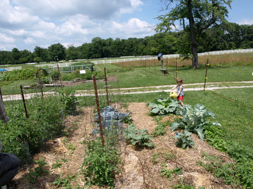 Reasons to Visit Cincinnati » This Little Miggy