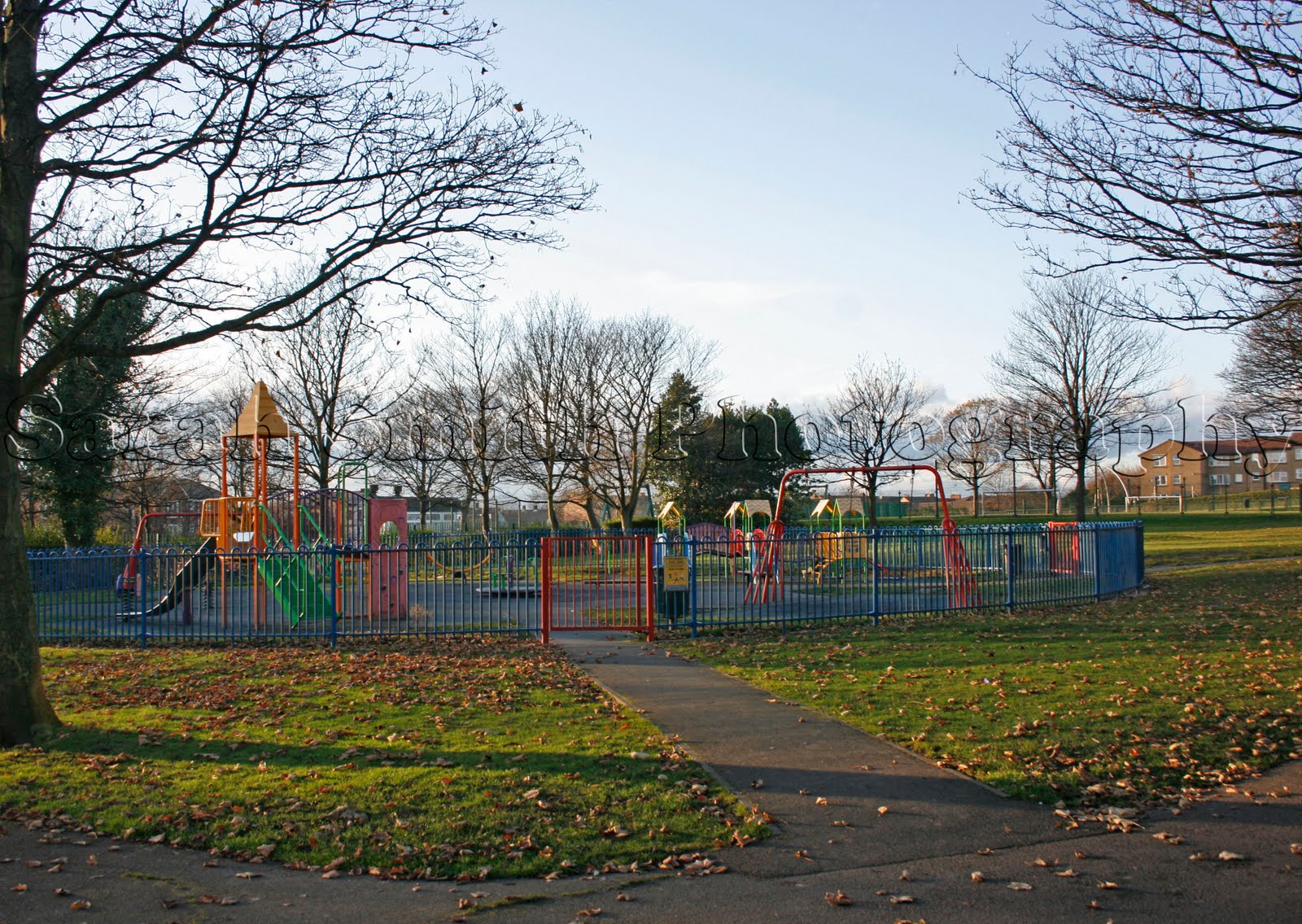 Sarah Smith: November 2010