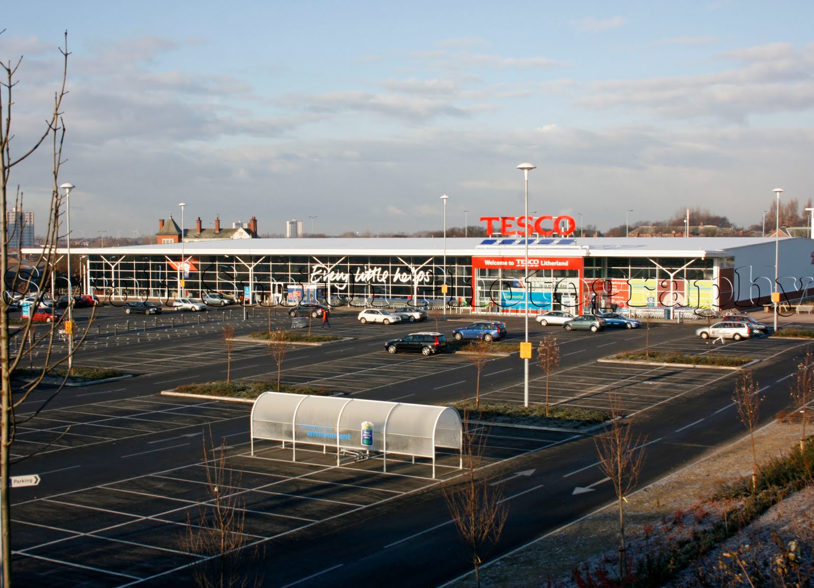 Sarah Smith: November 2010