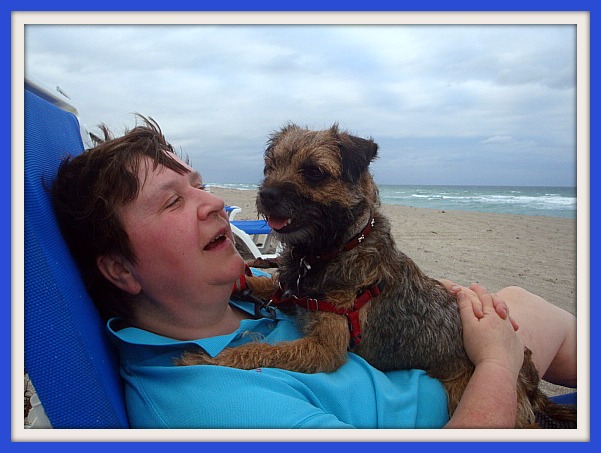 Three BCs and .....: Dr. Pam's dogs, Jif and Tick