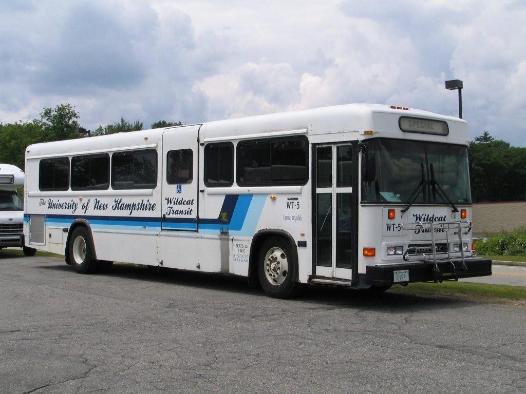 Bridget's Writings: Wildcat Transit Has New Ideas