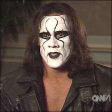 Sting Face Paint Designs