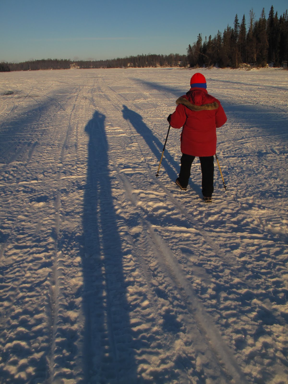 BASECAMP NIKISKI: ...a cold walk