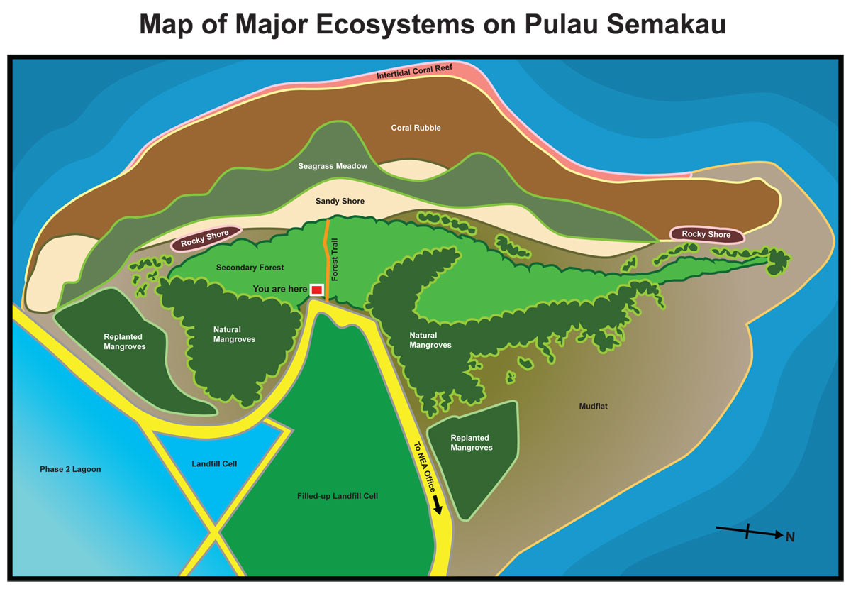KiÄtŜaŇ's BlÖg: Semakau Landfill Visit