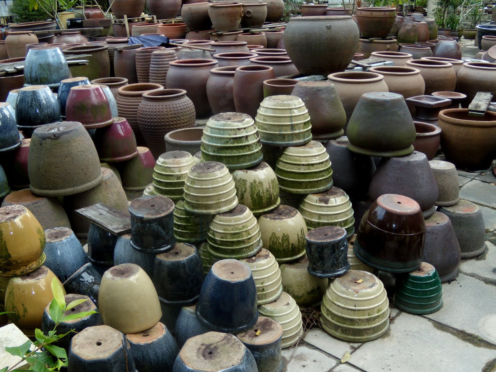 KiÄtŜaŇ's BlÖg: Afternoon Jog to Thow Kwang Pottery Jungle