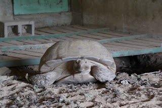 Kara culture plus: PARC SARAKAWA (DANS LA REGION DE LA KARA) AU TOGO